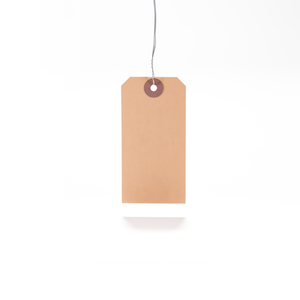 blank-hang-tags-manila-colors-paper-vinyl-tyvek-st-louis-tag